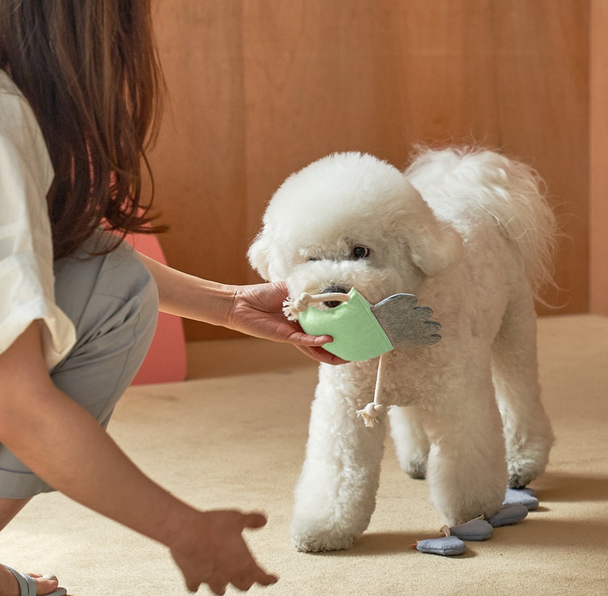 OCTOPUS NOSEWORK TOY / MINT – Miso and Friends